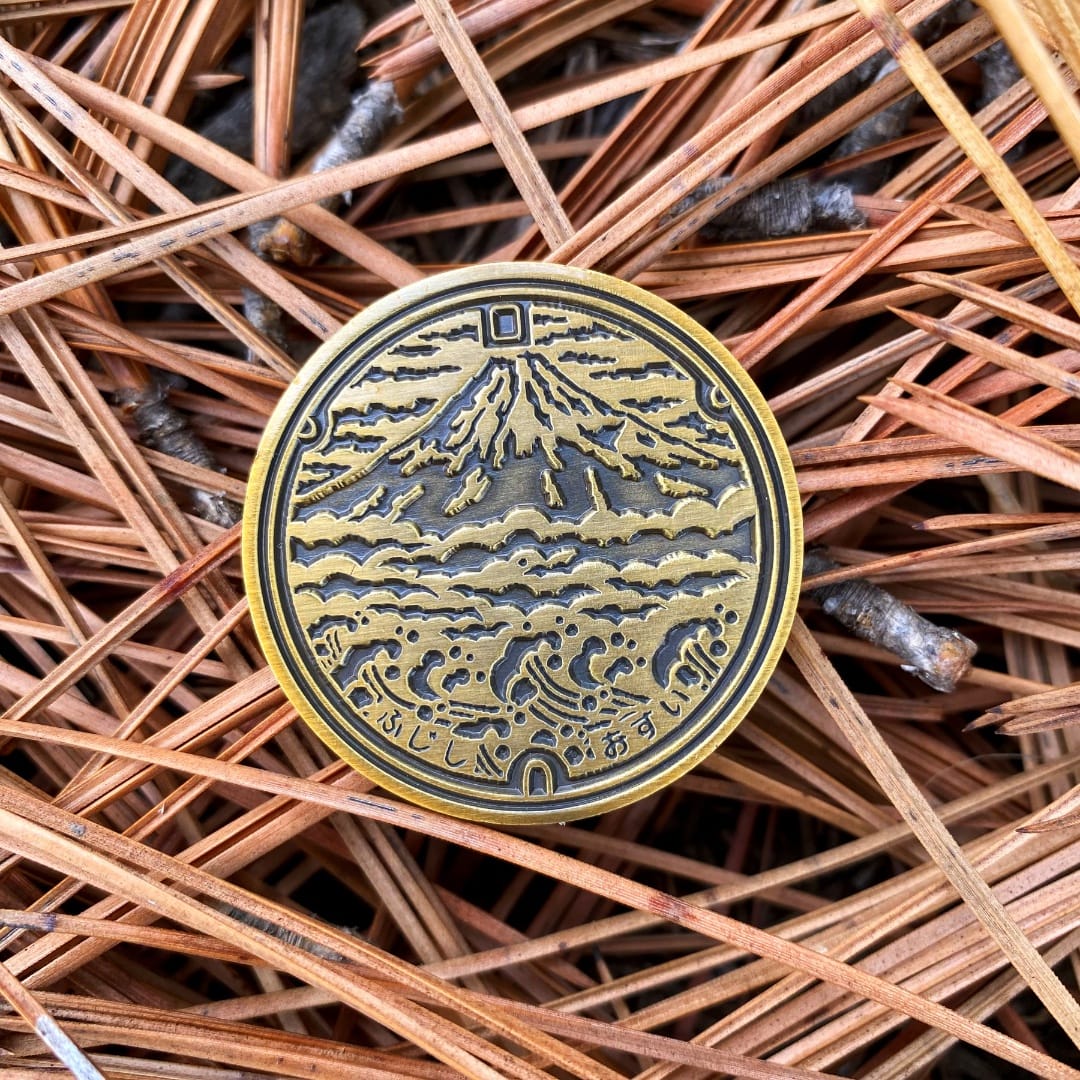 Fuji Drain Cover Coin