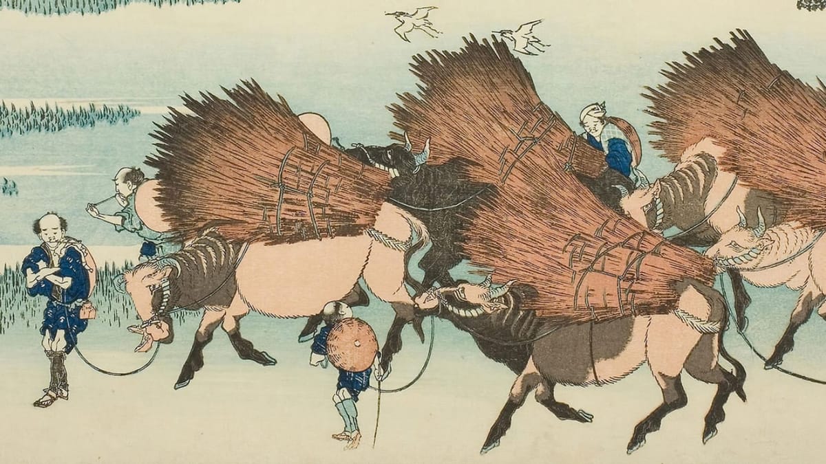 Swords and Rice: The Economic Role of the Samurai